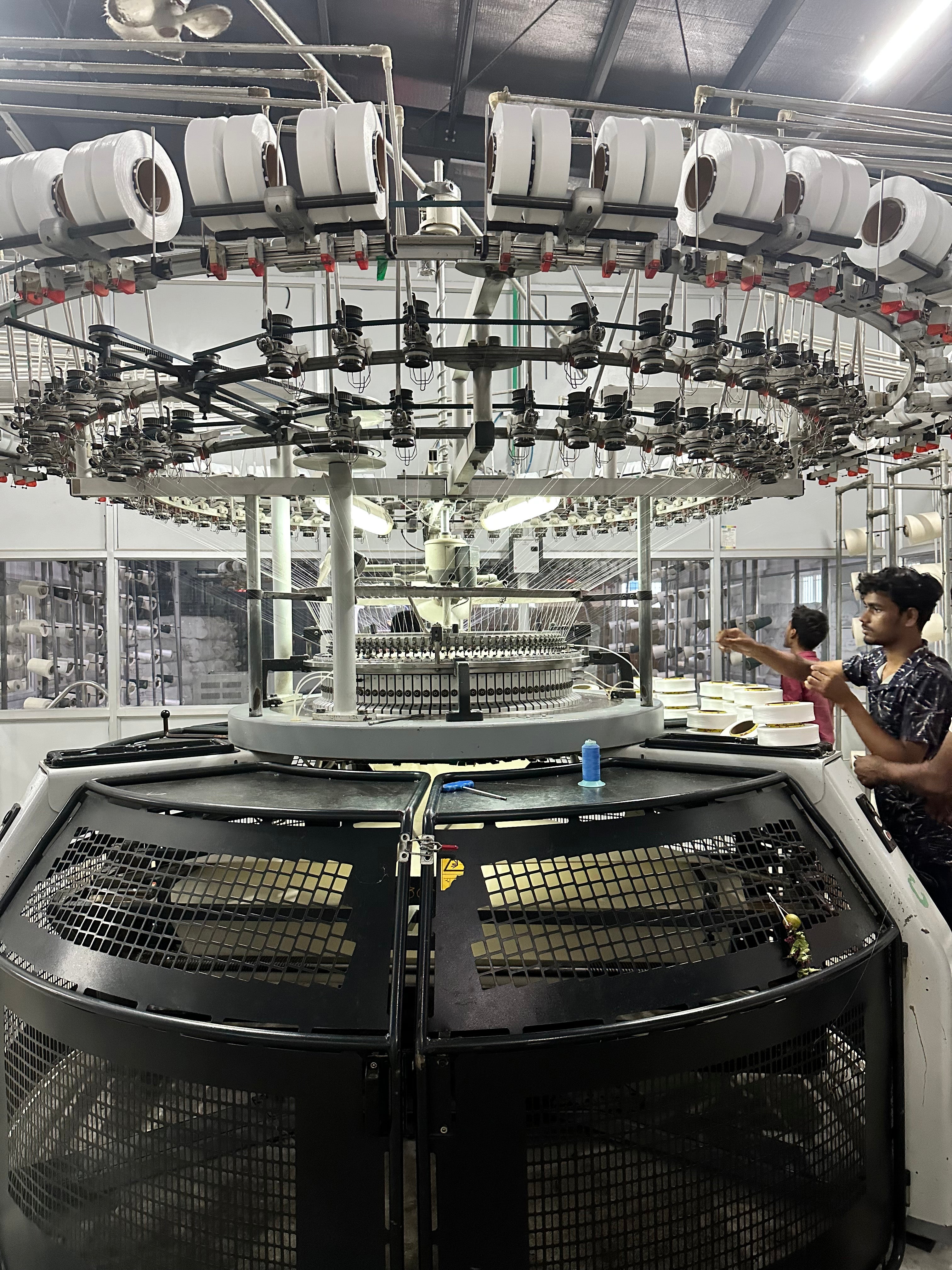 From Seed to Bum: Why We Took dea to India
